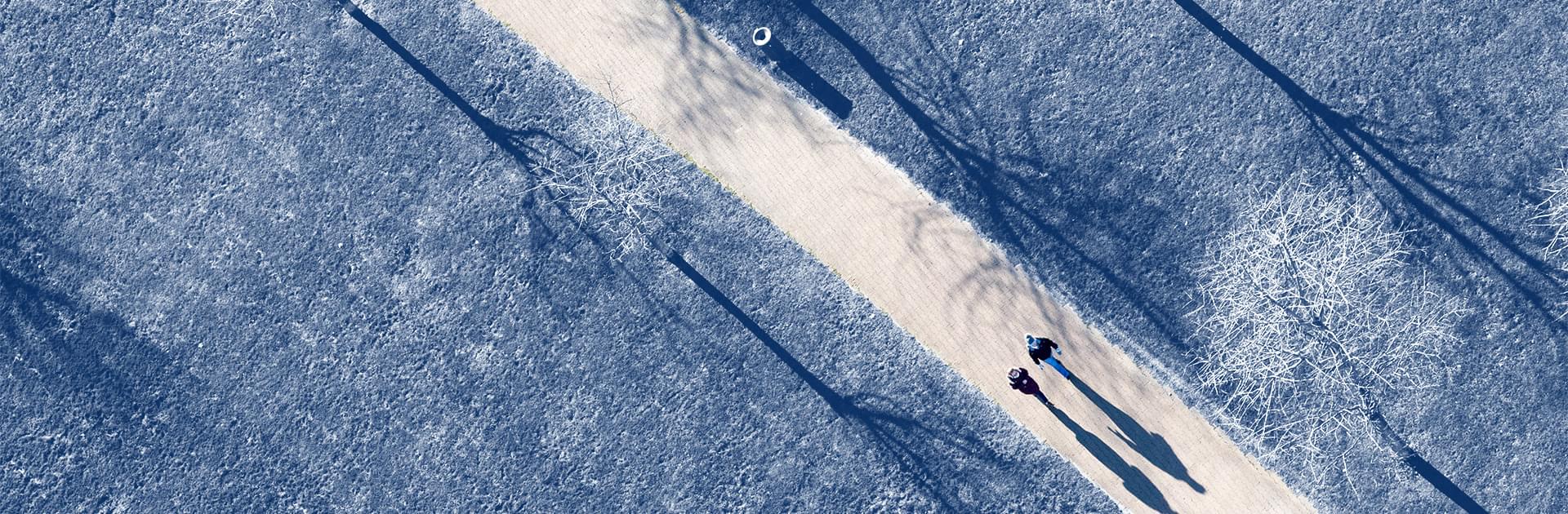 Team | IA Global Capital